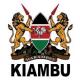 Jobs at Kiambu County Government | MyJobMag