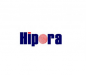 Jobs at Hipora Security Solutions Ltd | MyJobMag