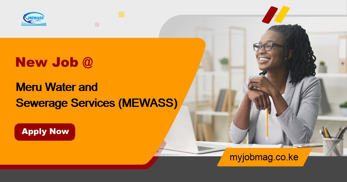 Customer Relations Assistant at Meru Water and Sewerage Services ...